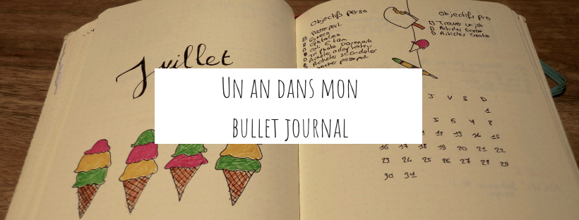 Dans mon Bullet Journal : 1 an de bujo et nouveau setup pour 2019