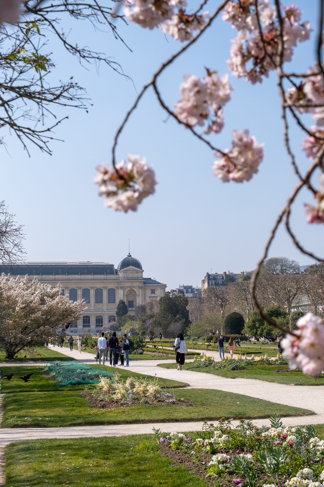 Sitemapcdatahttpsgutecellcare1commcdonald S Jardin Des Plantesnull